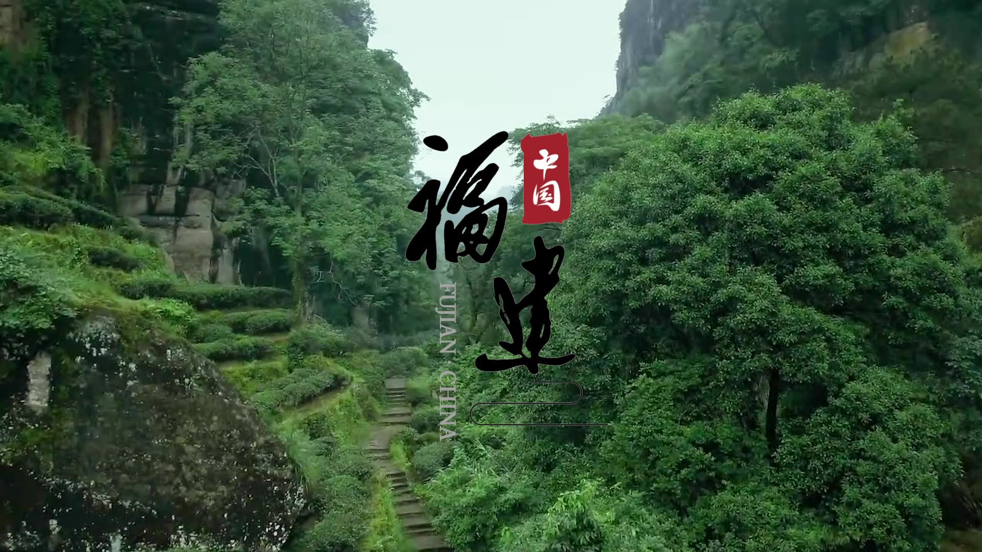 你好,这里是福建!90秒看福建如何惊艳世界