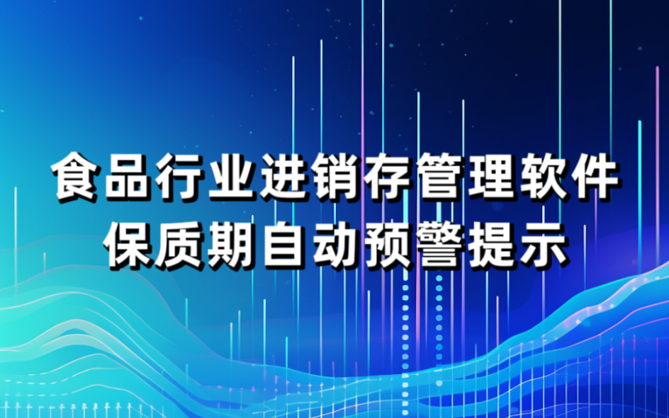 简单易用版食品行业进销存软件软件～简体食品进销存软件