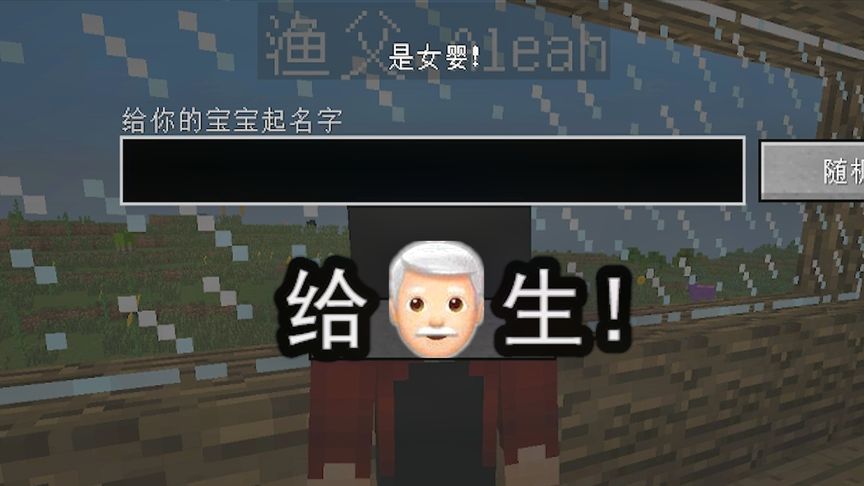 我的世界:NPC,给爷生!