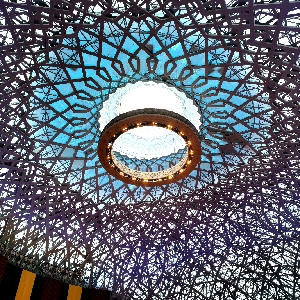 柳住不一样的世界 