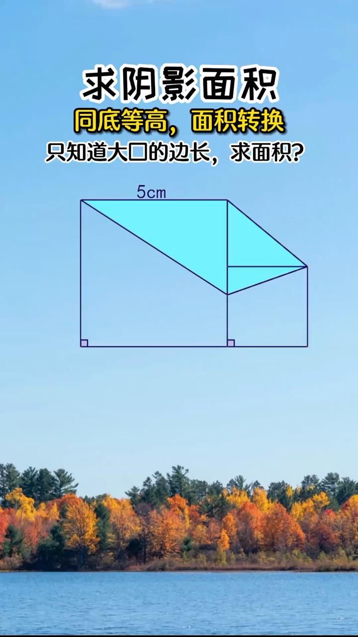 同底等高,面积转换,等级模型#数学思维 #小升初数学 #几何动画