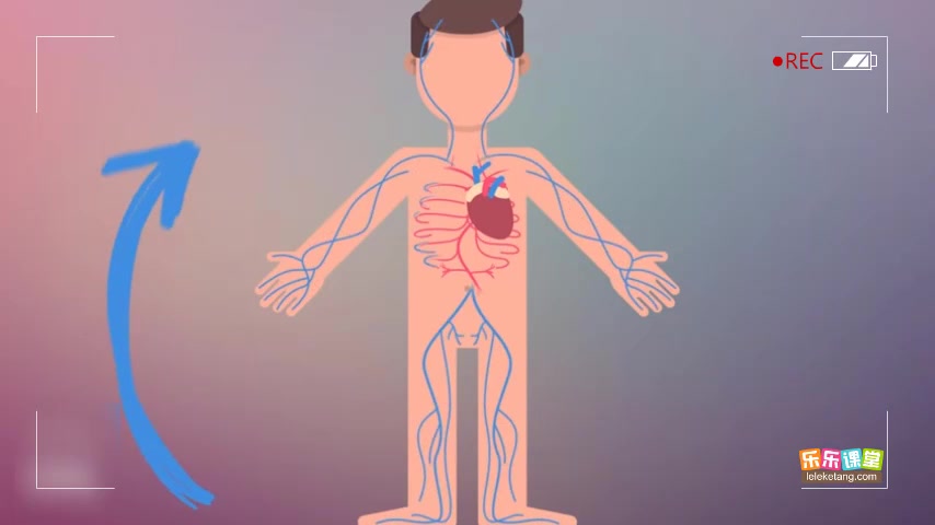 乐乐课堂七年级生物-生物圈中的人-人的生殖系统