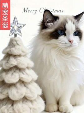 #剪映 #剪映模板 #宠物 #布偶猫 Ai布偶猫圣诞树@巨量算数 @抖音小...