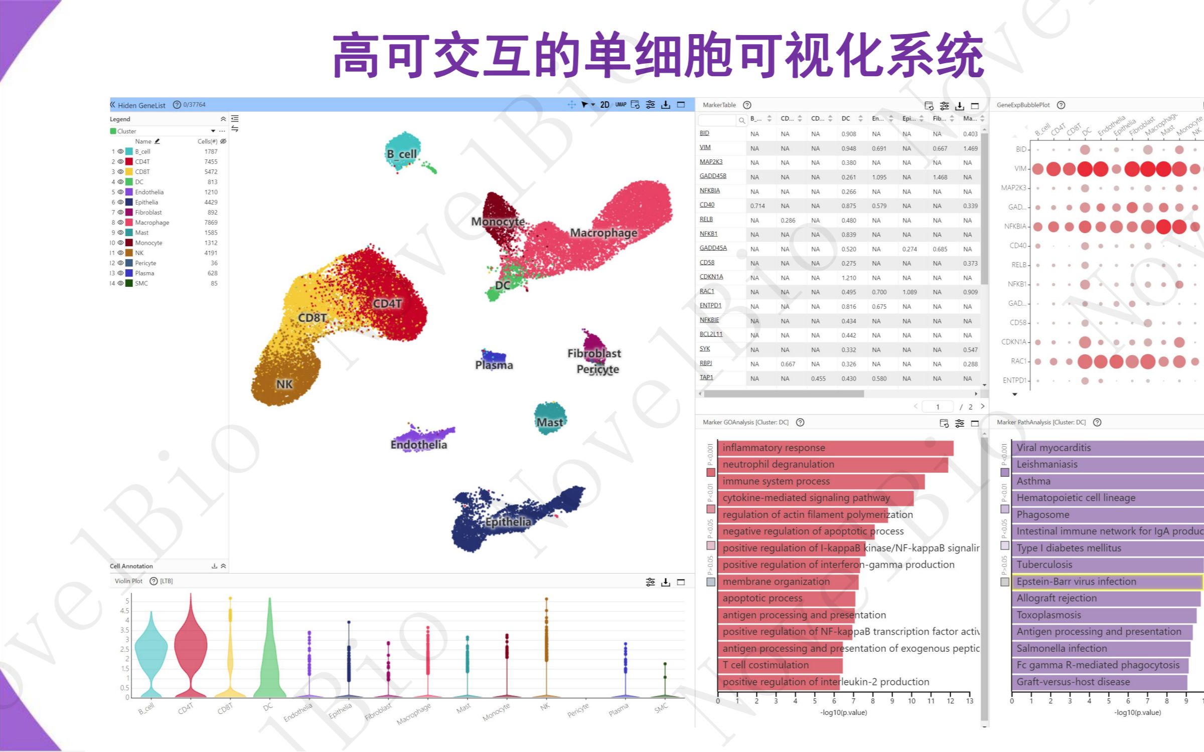 二、平台实操-2.6 细胞聚类结果-可视化查看