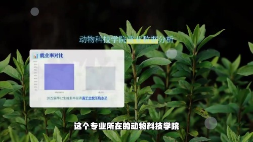 选择了动物医学,是否迎来了意想不到的职业挑战与机遇?