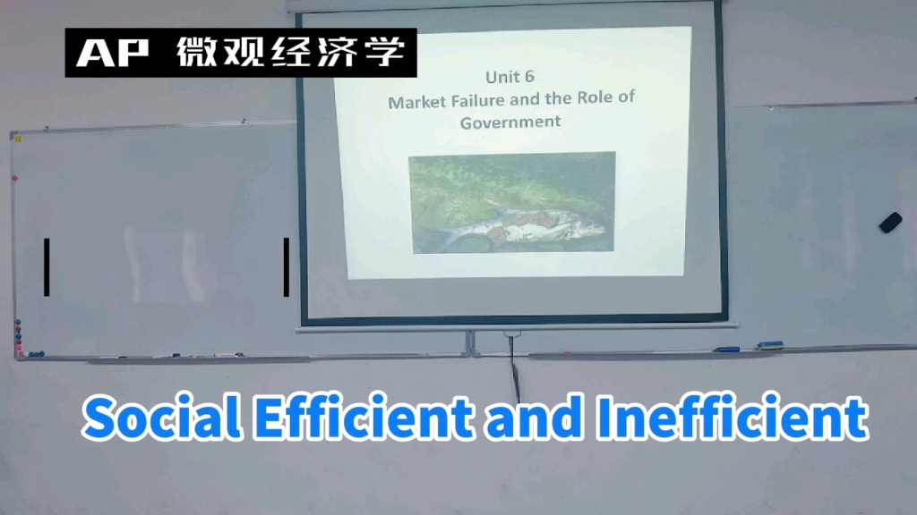 社会效率和非效率的市场效果
