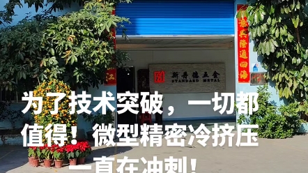 为了技术突破,一切投入都值得!#精密冷挤压#精密锻打#微型零件加工