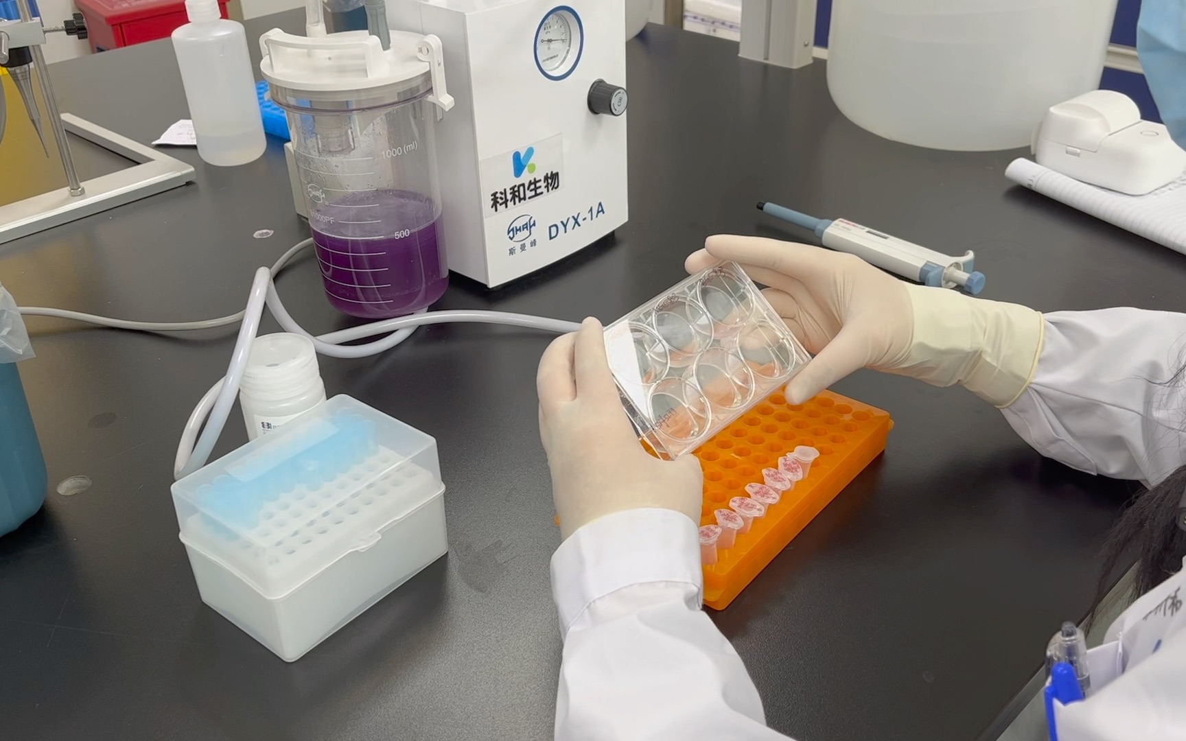 【科研鸡】RNA逆转录-RNA收样