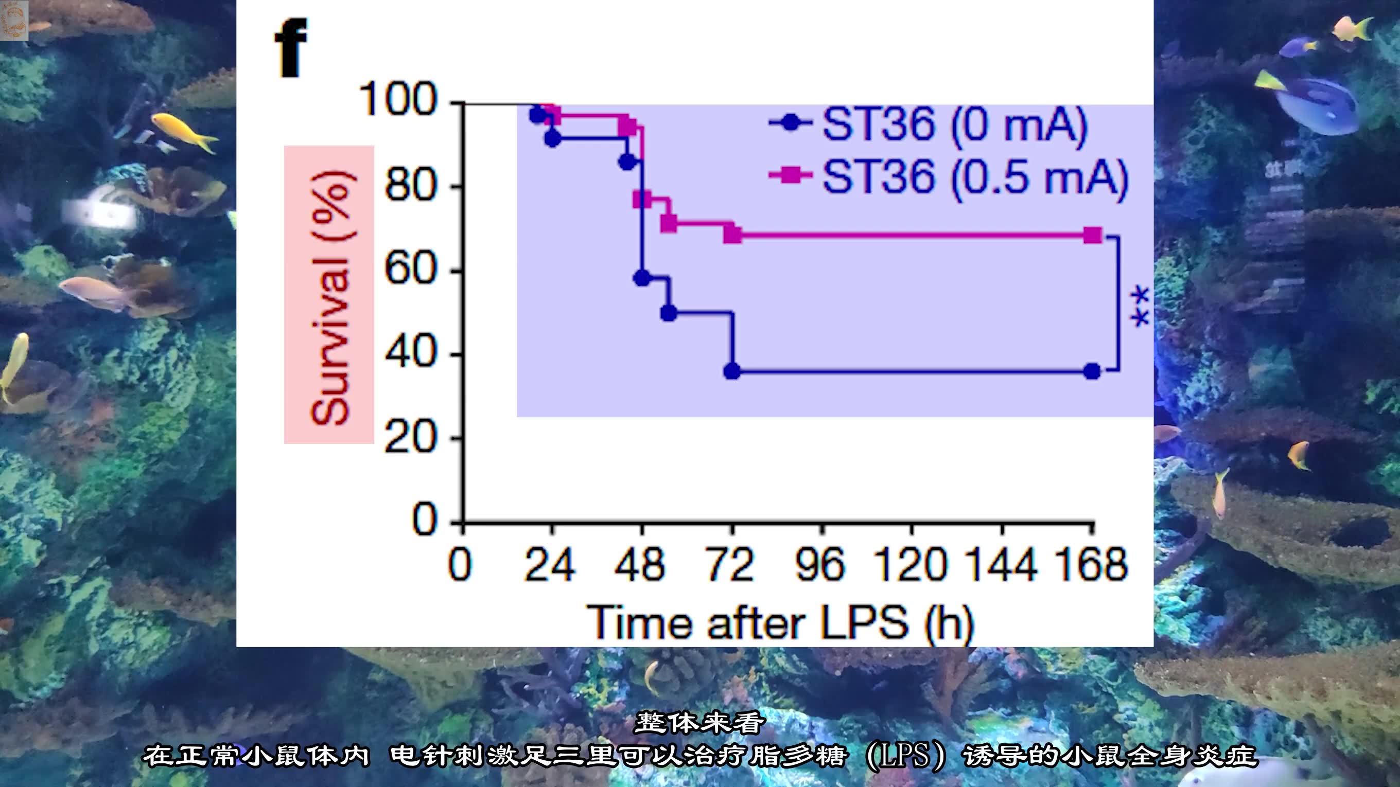 Nature新文解释穴位:电针灸的神经解剖学原理-激活迷走神经-肾上腺素...