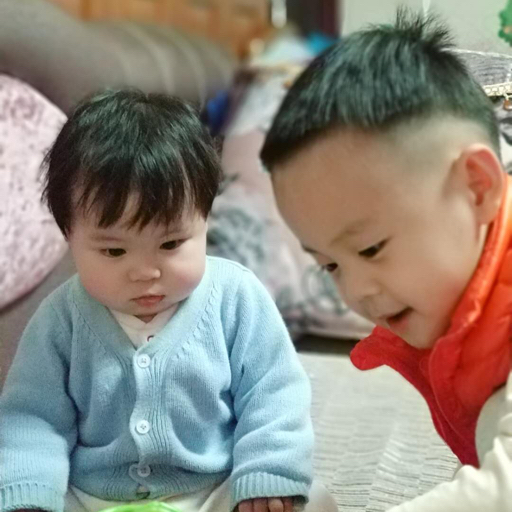 陈晟学习科学研究 