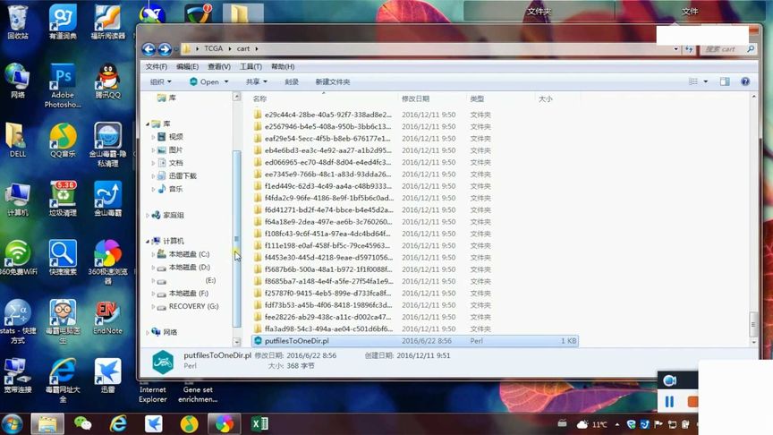 TCGA数据整理和基因注释
