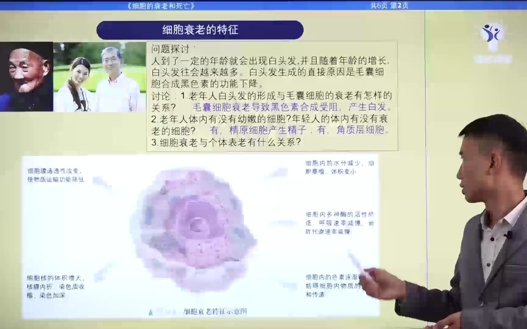 163细胞的衰老与死亡
