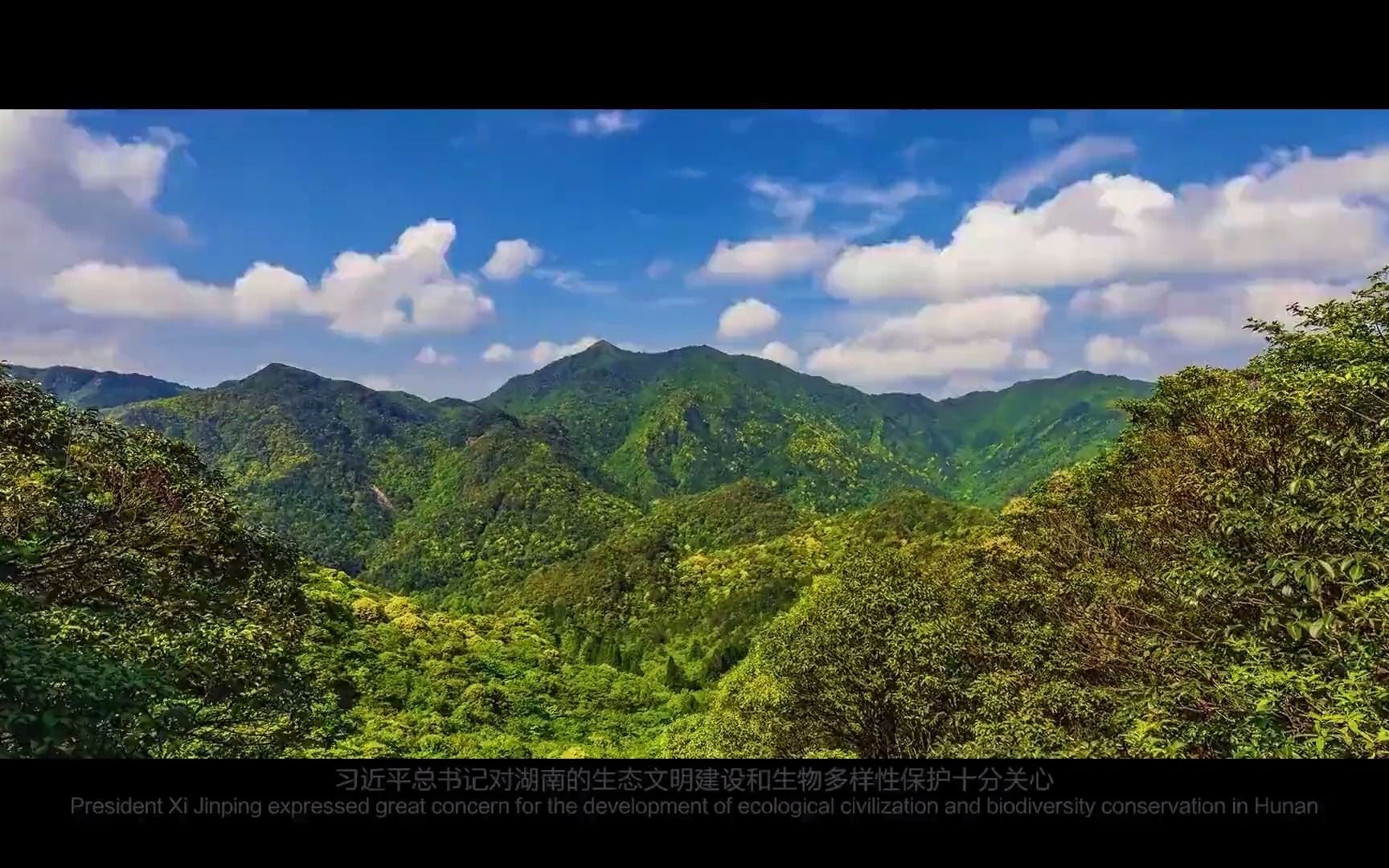 保护生物多样性主题宣传片—湖南篇