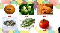 12 植物的果实(