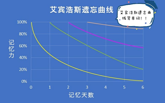 如何使用艾宾浩斯遗忘曲线记单词Ⅰ英语Ⅰ肥木耳Ⅰ分享