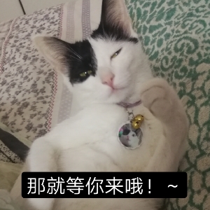 不客气这是我应该做的 