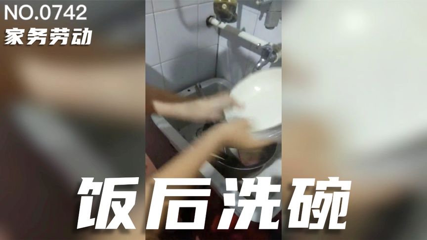 【家庭劳动教育】0742李佳泰的家务劳动,我是家里人,饭后要洗碗