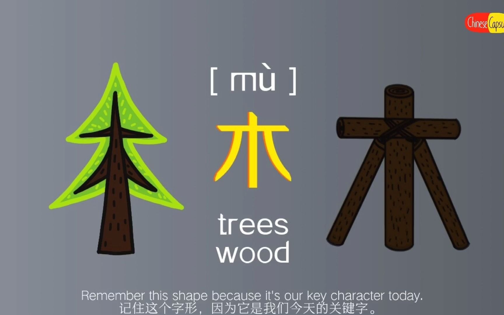 【汉字轻松学】第二集:「木」字旁可以多有趣!