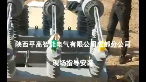 ...A户外看门狗智能高压真空断路器手动-电动带隔离厂家现场指导安装