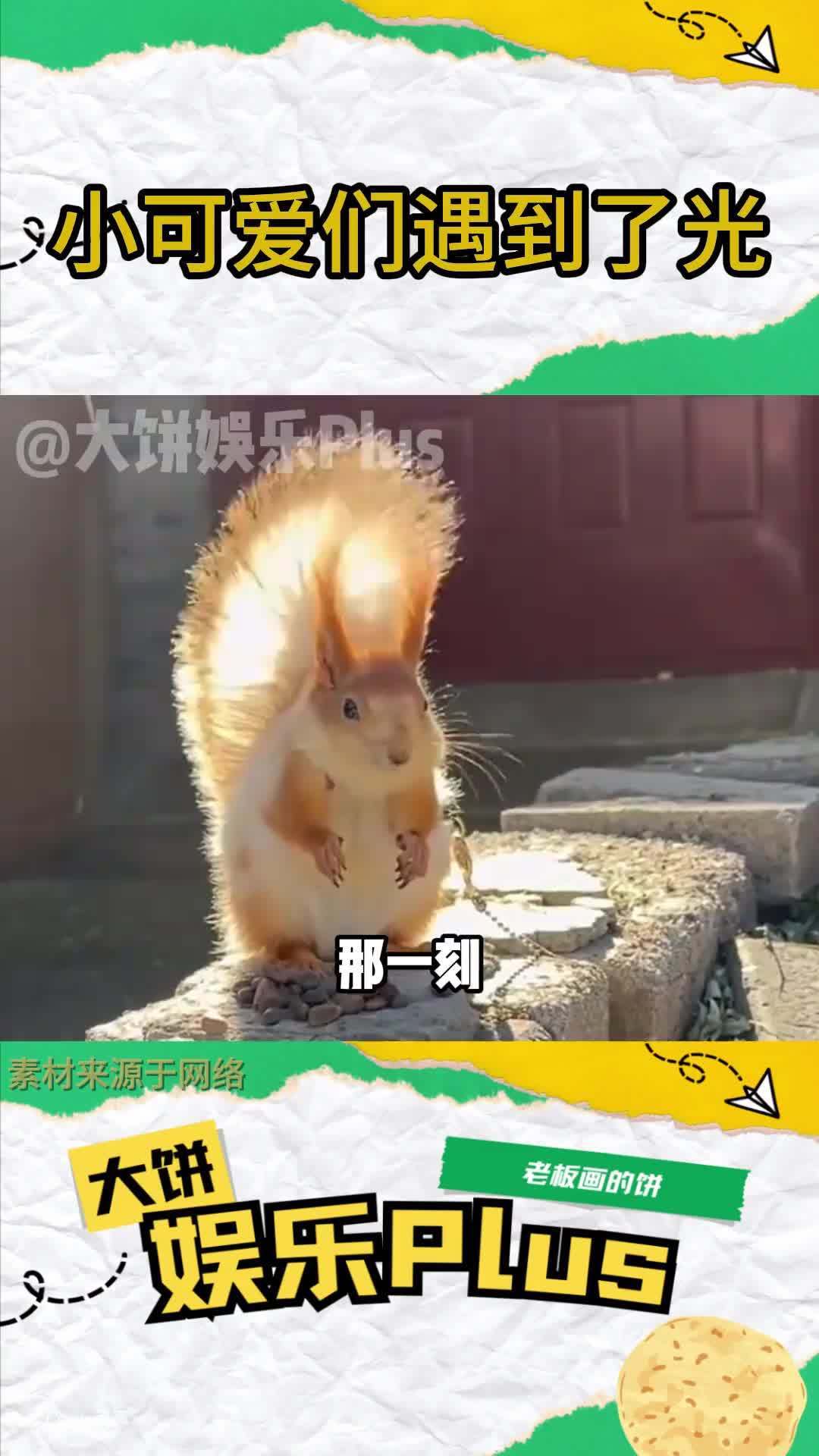 那一刻它们的世界照进一束光