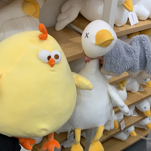 跑不动的姐妹花 