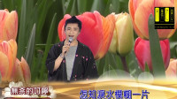 翻唱闽南歌曲 无奈的叮咛