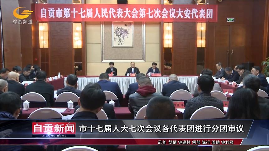 市十七届人大七次会议各代表团进行分团审议