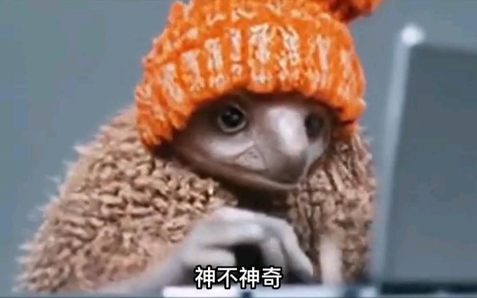 AI一键就能给你生成5秒短视频,以后还要摄影师吗?