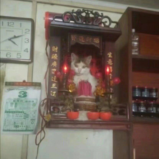 那個男人丶 