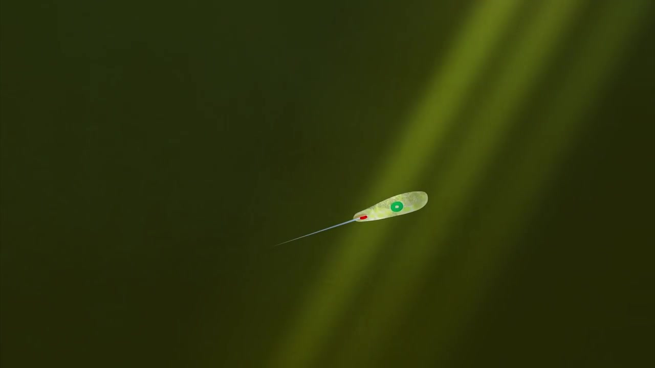 初中生物 七下 视觉