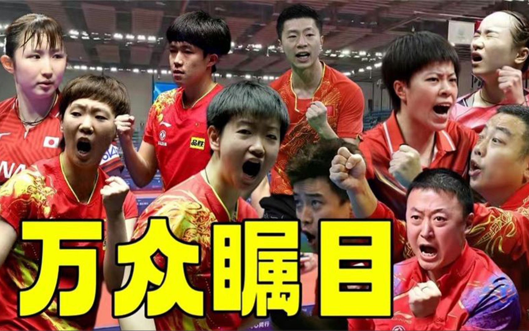 国乒最新消息!孙颖莎,樊振东出战,12月世界杯参赛名单完整公布,接下来...