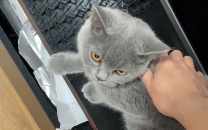 【芯片验证】名词解释 dut 和 reference mode