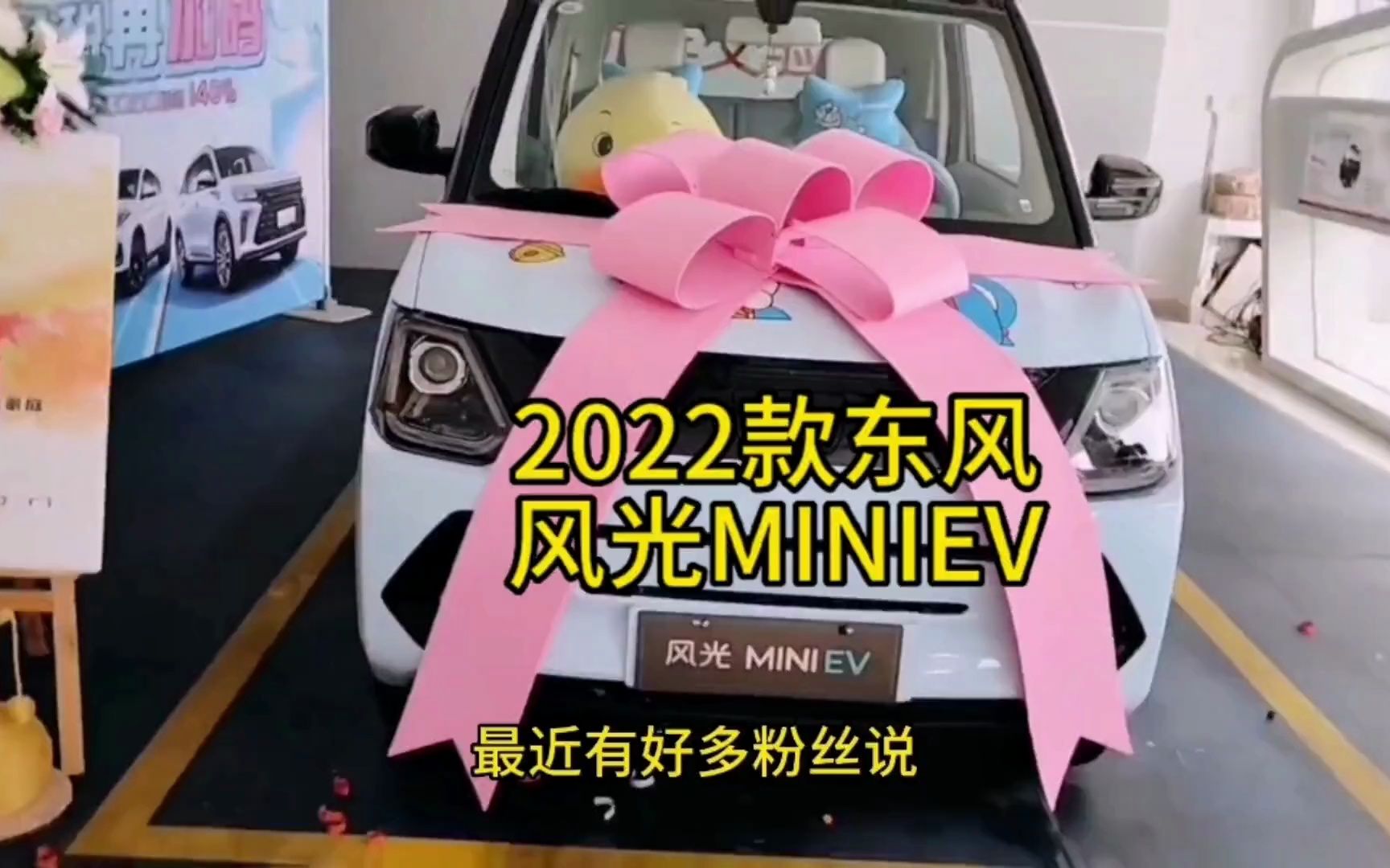 2022款东风风光MINIEV