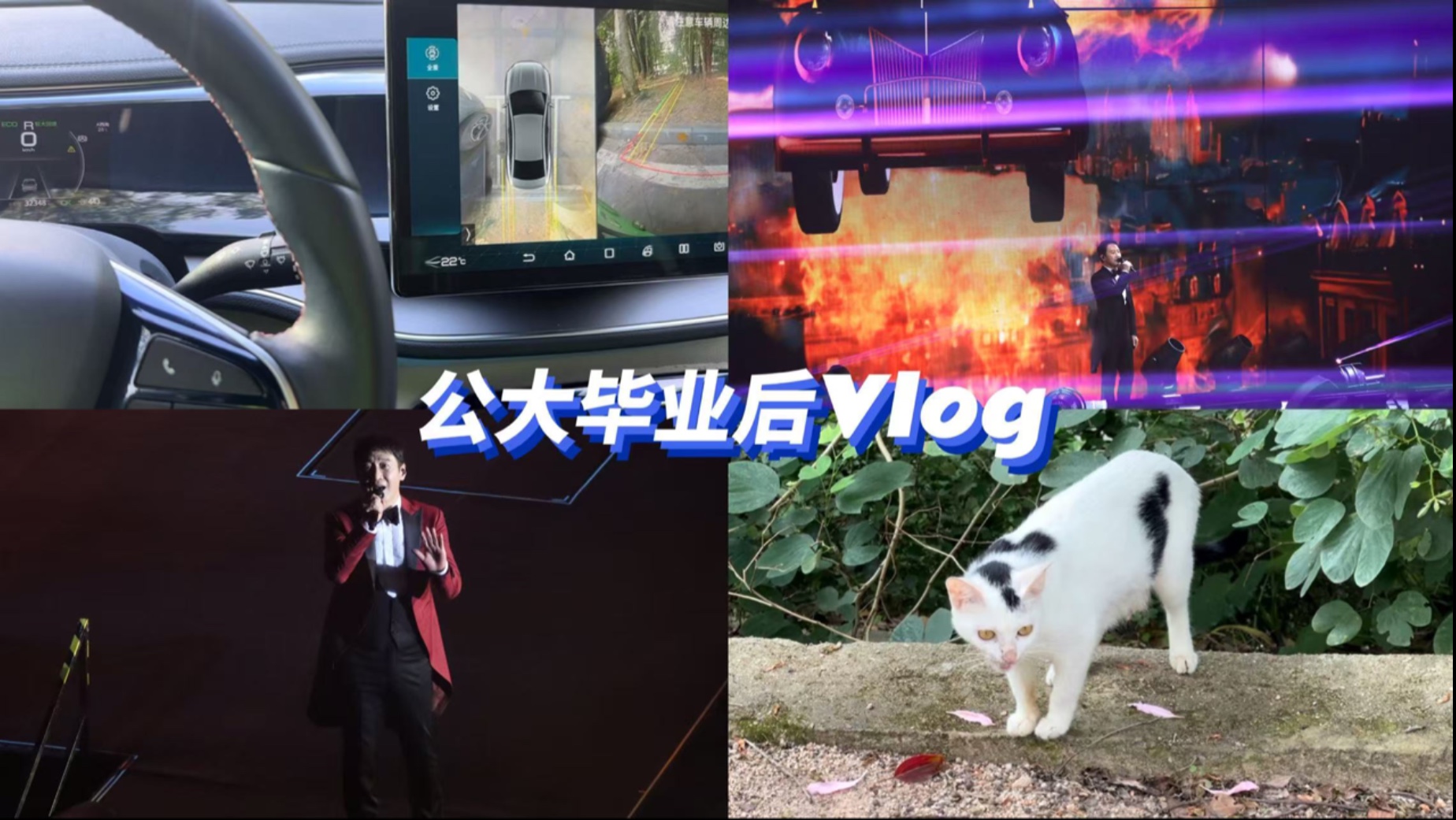 警校毕业后Vlog|当小卡拉米去开会|黎明演唱会|偶遇流浪猫