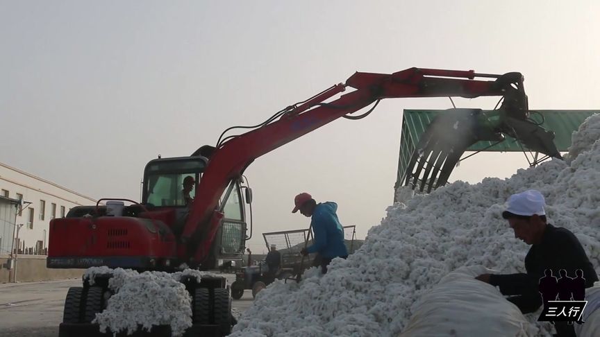 原来制作衣服的棉花是这样加工出来的、大家看了以后恍然大悟