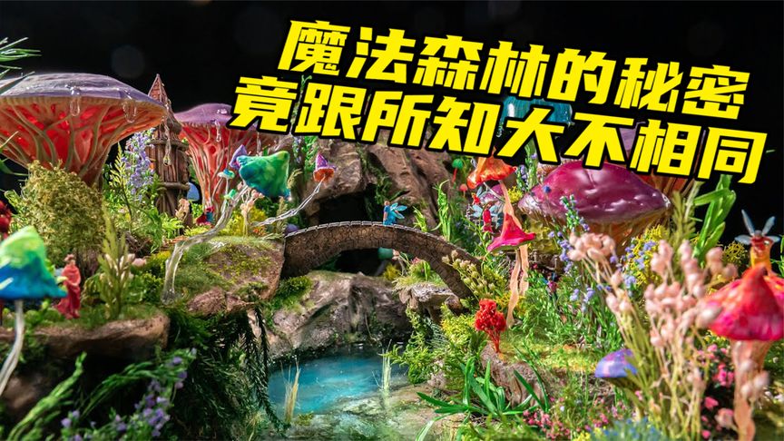 模型制作:神奇的魔法森林里面竟然藏着不为人知的秘密!