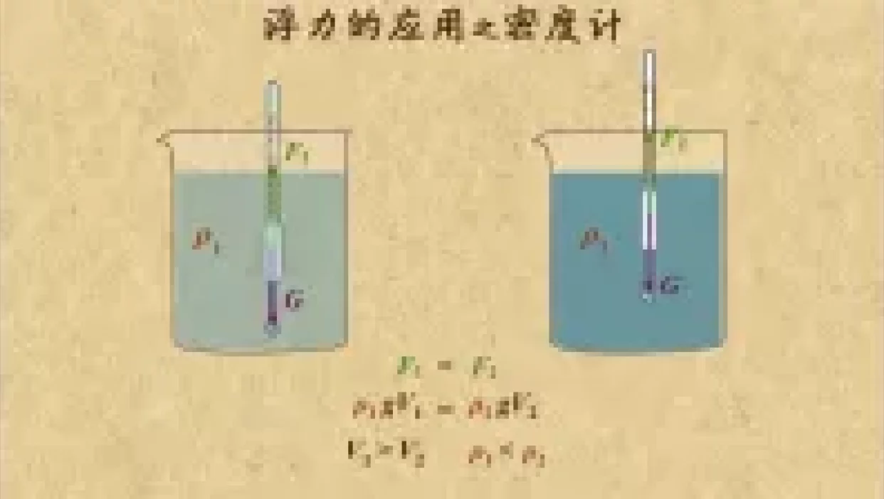 浮力的应用之密度计