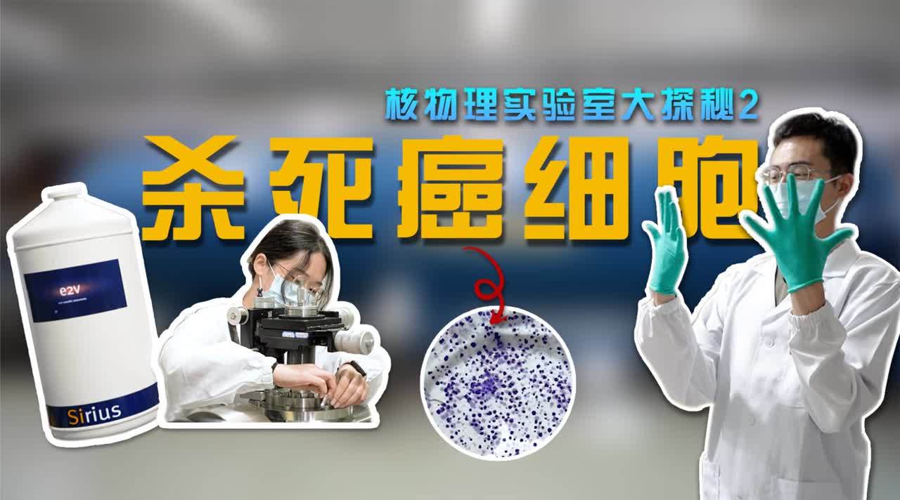 如何不伤害健康细胞,精准杀死癌细胞-|实验室大探秘
