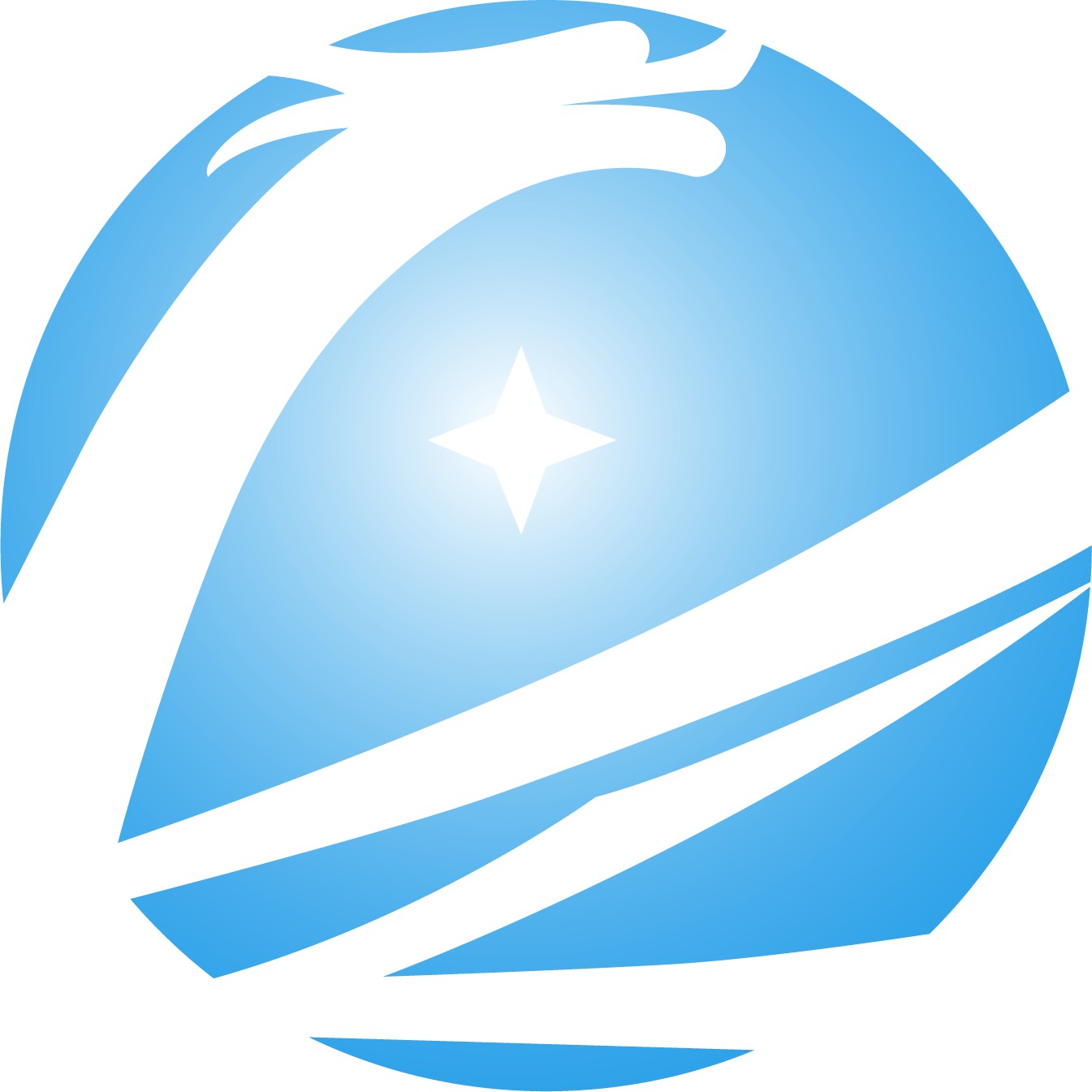 龙泽信息科技 