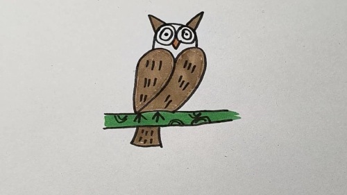 猫头鹰怎么画?画法简单易学的猫头鹰简笔画教程