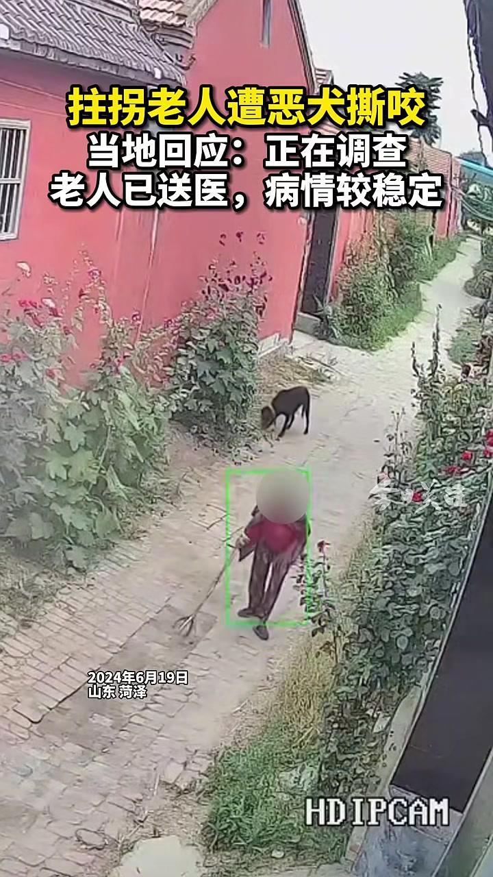 ...21日,记者从郑营派出所获悉,咬人黑狗事后被警方找到并处置。同日,...