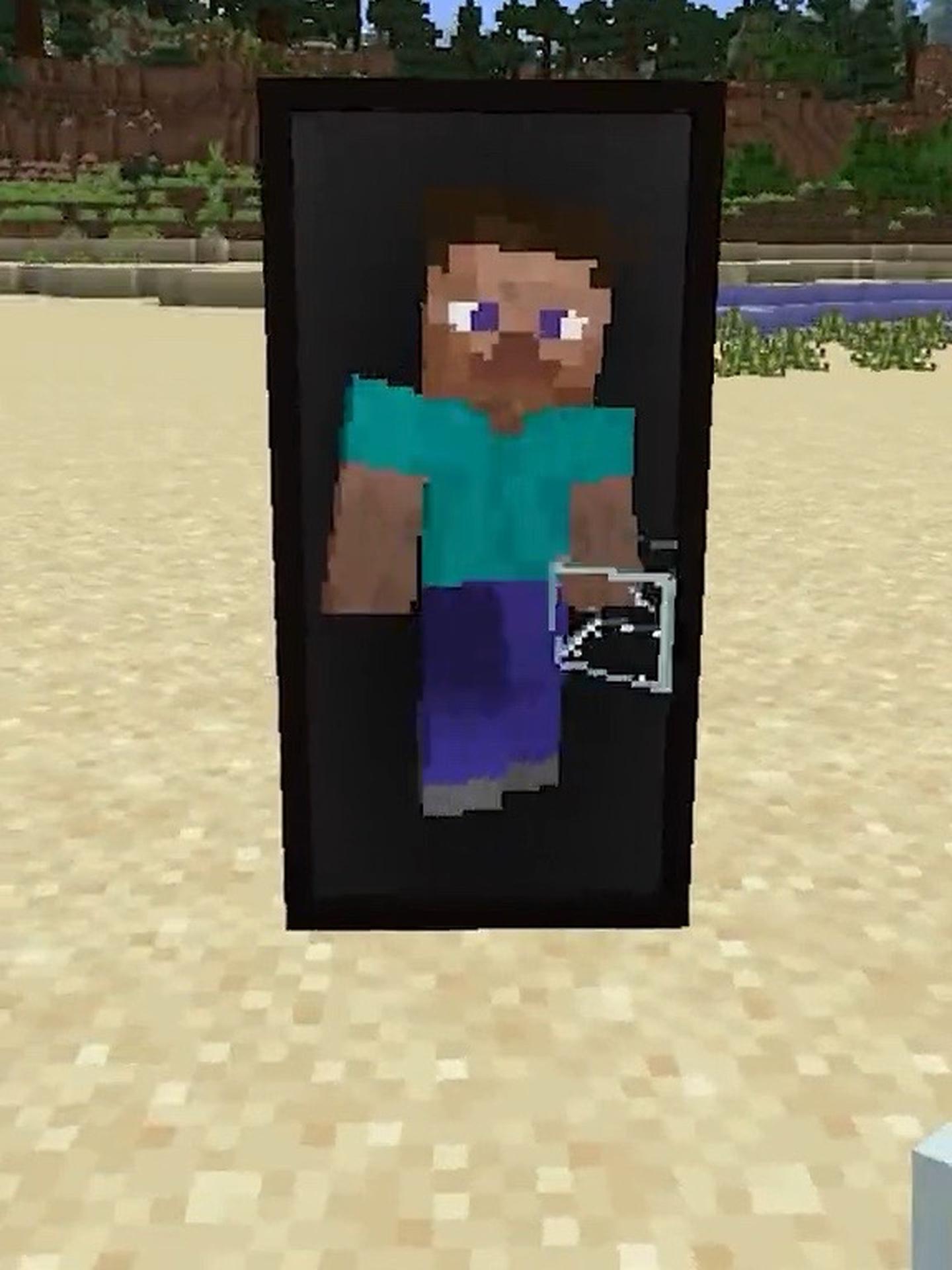 你看到了什么? #我的世界 #mc