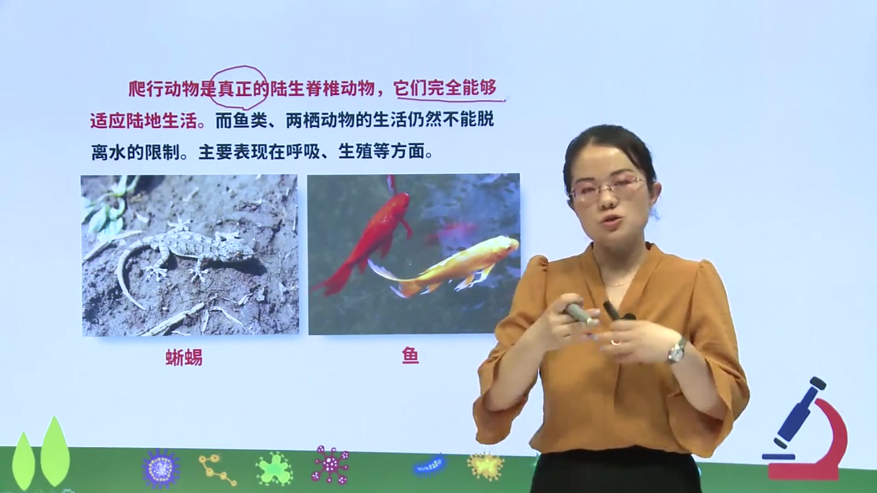 人教版 初中生物 八年级上