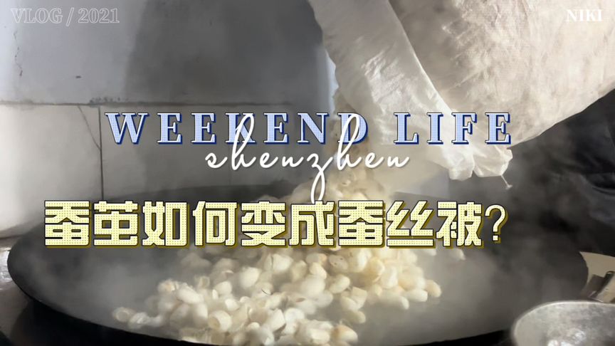 山村蚕茧如何变成蚕丝被?