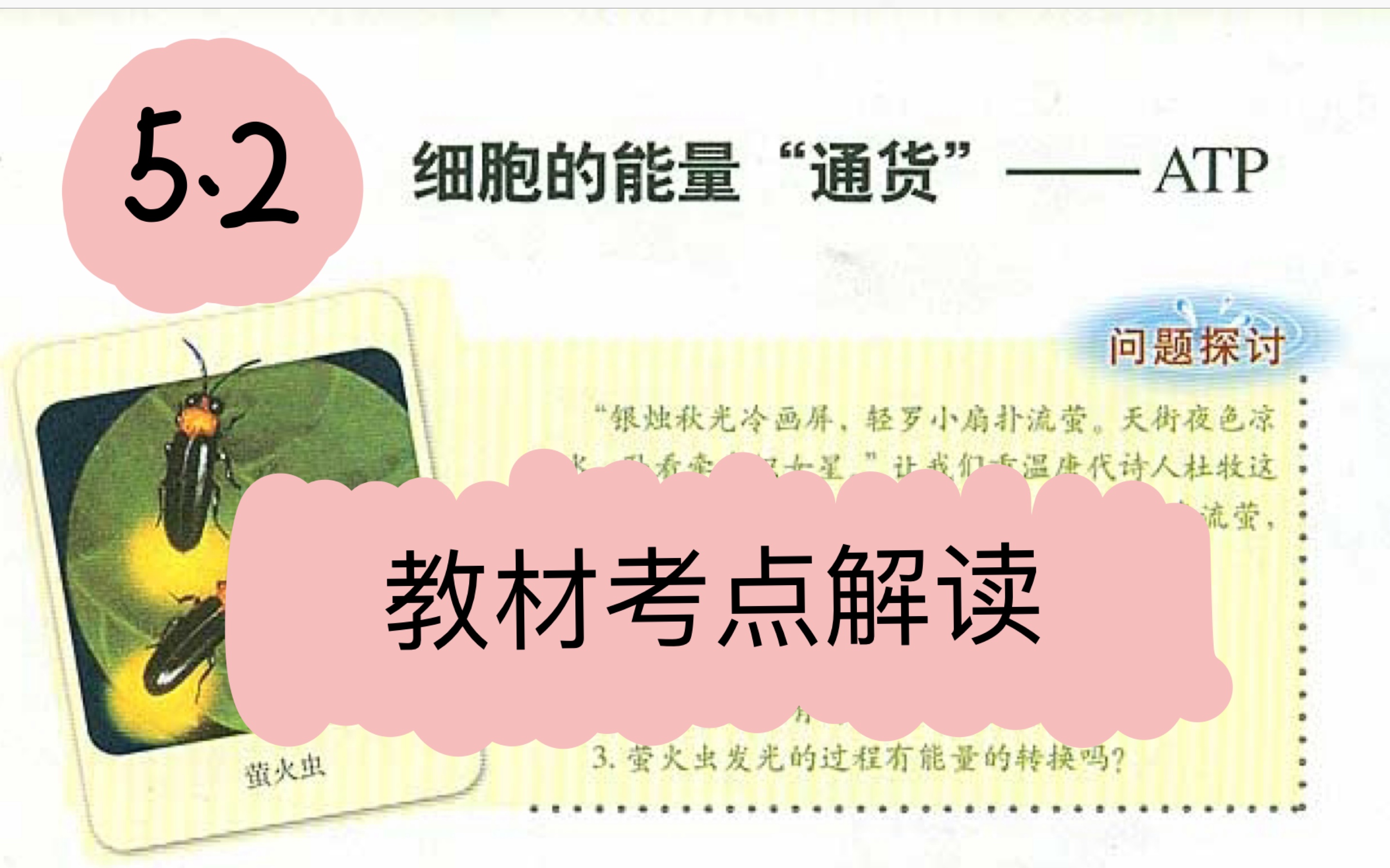 ATP 与ADP 课本考点讲解 标划 高三一轮 复习 预习 人教版 高中生物 ...