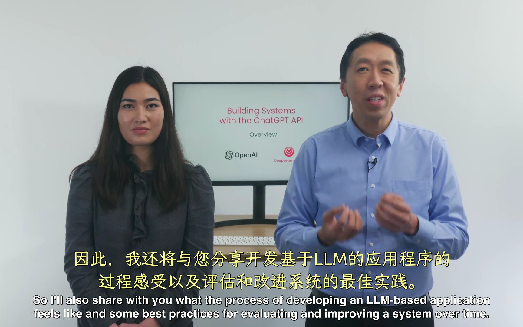 使用API构建LLM系统介绍