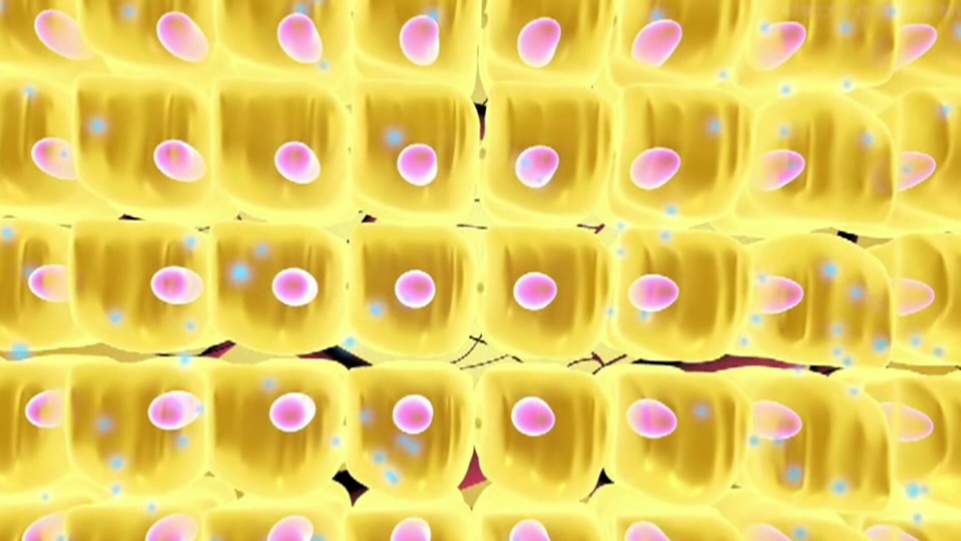 趣味医学科普动画【三大经典药物ADME】直观了解药物在身体里的...