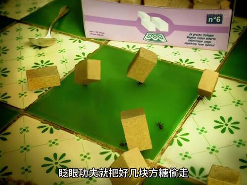 蚂蚁想补补维生素,竟和香蕉杠上了 动画 动画解说 经典动画 搞笑