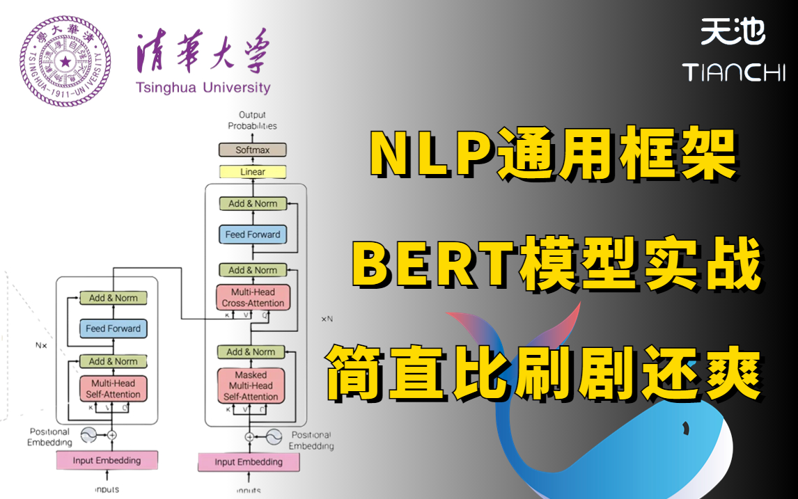 一口气刷完目前最好的清华出版的【BERT模型实战】NLP自然语言...