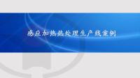 耐磨钢棒热处理炉,磨棒调质生产线视频细节